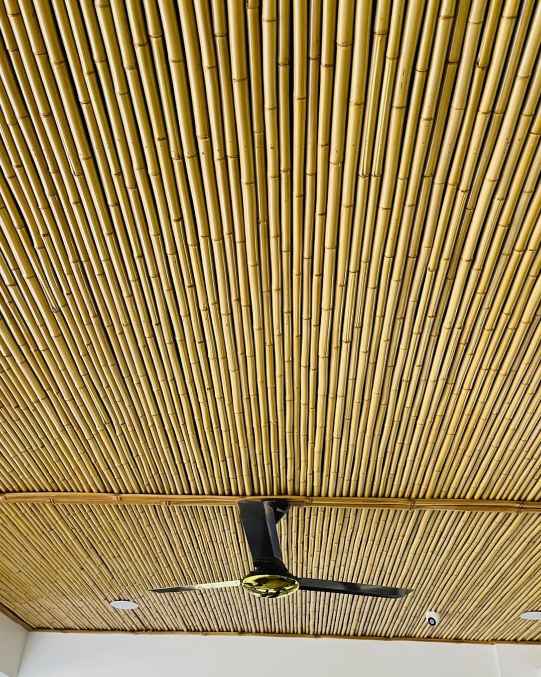 Alternativas Sostenibles: Productos Artesanales de Bambú para un Medio ...